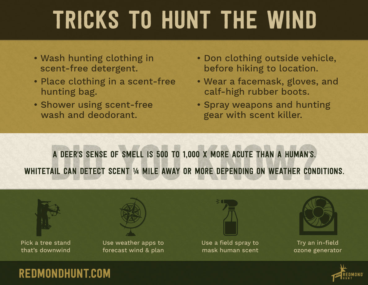 6-pro-tips-for-deer-hunting-in-wind